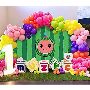 Cute Cartoon Watermelon Backdrop Kids 1st 2nd 3rd Happy Birthday Watermelon Theme Party Photography Backdrops Newborn Baby Shower Decoration Background 6x4FT