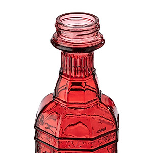 More Birds Red Jewel Hummingbird Feeder, Glass Hummingbird Feeders for Outdoors, 5 Feeding Stations, 20 Ounces