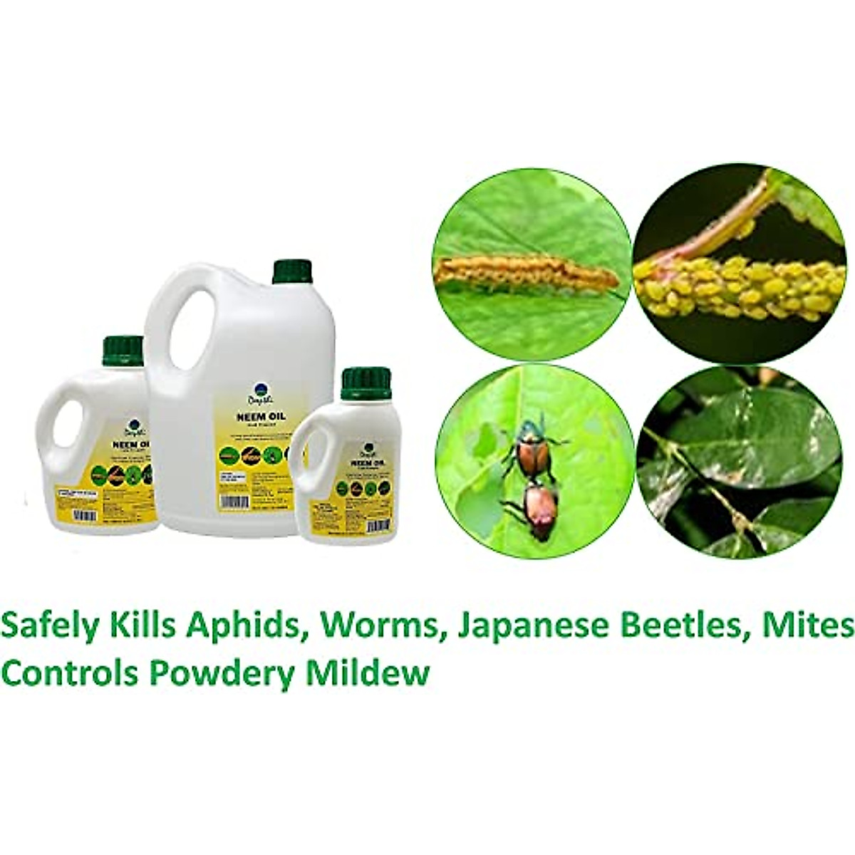 Deepthi Pure Neem Oil for Plants - Concentrated - Cold Pressed - Spray for Indoor Outdoor Garden - 100% Neem Oil - Natural Insecticide – Controls Mildew - 16.9 Fluid Oz (500 ml)