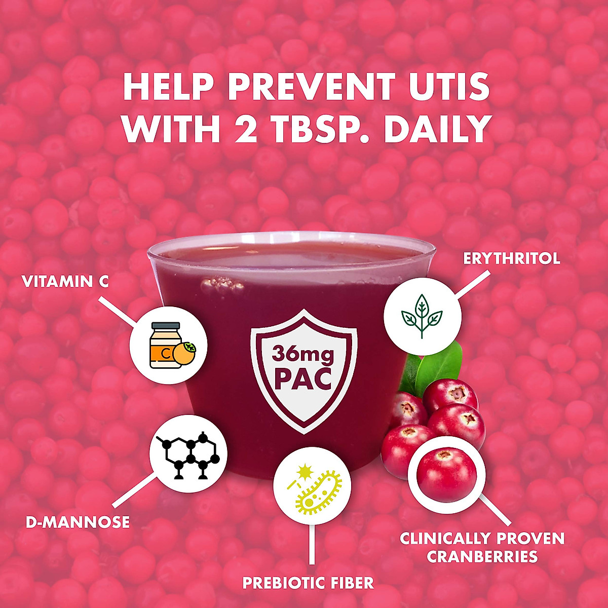 Nutritional Designs Cran-B-PAC Cranberry Supplement, Urinary Tract Health for Women Cranberry Concentrate Liquid with Vitamins, UTI Prevention for Women, Natural & Non GMO, 36mg PAC, 30 Oz Bottle