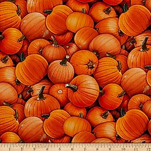 Harvest Time Pumpkins Orange, Fabric by the Yard