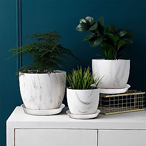 UPMCT 6 Pack Plant Saucer, 4 6 8 10 12 Inch Durable Plant Tray Flower Pot Saucer Round Pallets for Indoors and Outdoor, Plant Container Accessories (6 Inch, White)