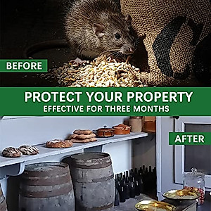 Whemoalus Rodent Repellent Balls SEALUXE, Pack of 4 Mouse Repellent,Rat Repellent,Rats Deterrent Indoor,Mint Mice Repellent, Peppermint Oil to Repel Mice and Rats