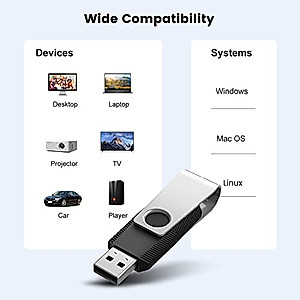 RAOYI 10 Pack 8GB USB Flash Drive, USB 2.0 Swivel Metal Memory Stick Thumb Drives Pen Drive Jump Drive for Data Storage (4 Mixed Color)