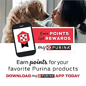 Purina Busy With Beggin' Made in USA Facilities Small/Medium Breed Dog Chew, Twist'd Cheddar & Hickory Smoke Flavors - 10 ct. Pouch