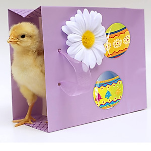 500PCS Easter Eggs for Kids Stickers Roll, 9 Patterns of Self-Adhesive Egg Bunny Stickers for Gift Bags Envelopes Easter Baskets and Holiday Parties