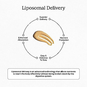 CYMBIOTIKA Creatine+, Creatine and Glutamine Supplement for Amino Energy, Recovery, Muscle Mass & Brain Support, Liposomal Delivery, Gluten Free & Vegan, Raspberry Flavor - 30ml Pouches (Pack of 20)