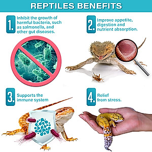 Gargeer Reptile Probiotics. Improve Appetite, Digestion and Boost Immune System. Supplement 10-12 Pounds of Food with Our 2 Oz Bag. Enjoy!