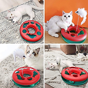 Cat Toys, Cat Toys for Indoor Cats,Interactive Kitten Toys Roller Tracks with Catnip Spring Pet Toy with Exercise Balls Teaser Mouse (red)