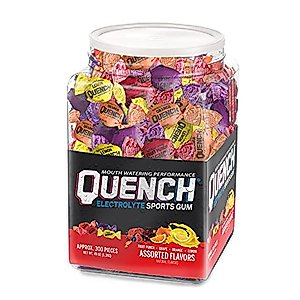 Quench Gum Tub, New Variety Fruit 300,300 Count (Pack of 1)