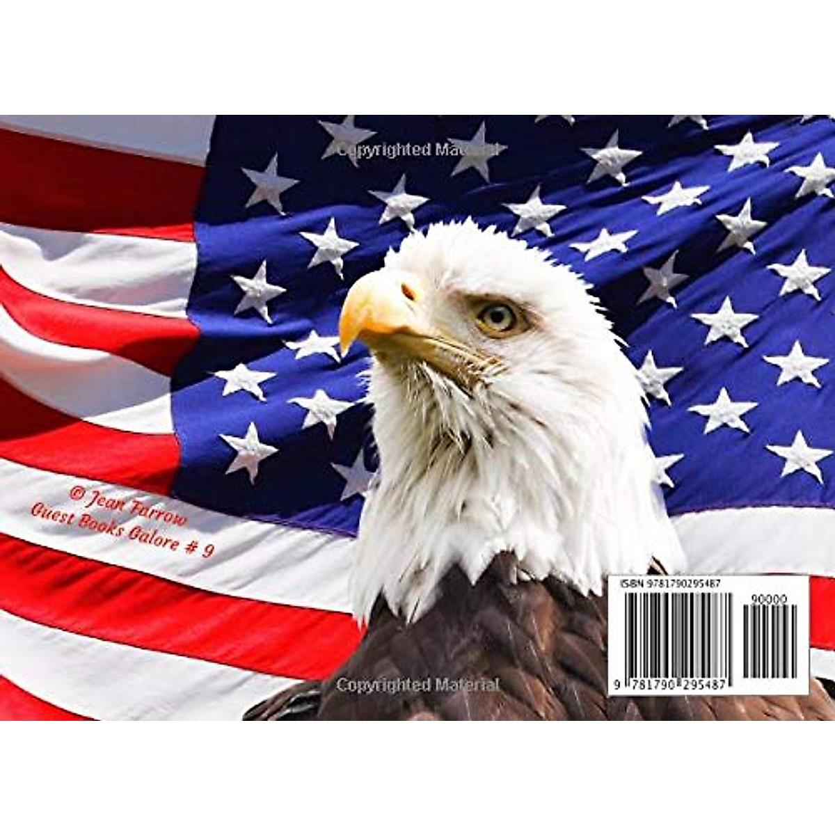 Guest Book: American Eagle For Vacation House Rentals, Airbnb Bed & Breakfast, Cabins & Condos, Homes, Celebrations, Birthday Parties, Graduations, ... Memorial Special Events (Guest Books Galore)