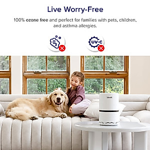 LEVOIT LEVOIT Air Purifiers and Dual 150 Humidifiers