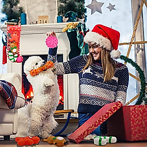 ZALALOVA Christmas Dog Stocking Gifts Toys Set, 6 PCS Xmas Dogs Toys with Squeaky Toys Chew Toys Assorted Crutch Gingerbread Man Bone Shape Christmas Candy Cane Shape Chewer Interactive Ball Gifts