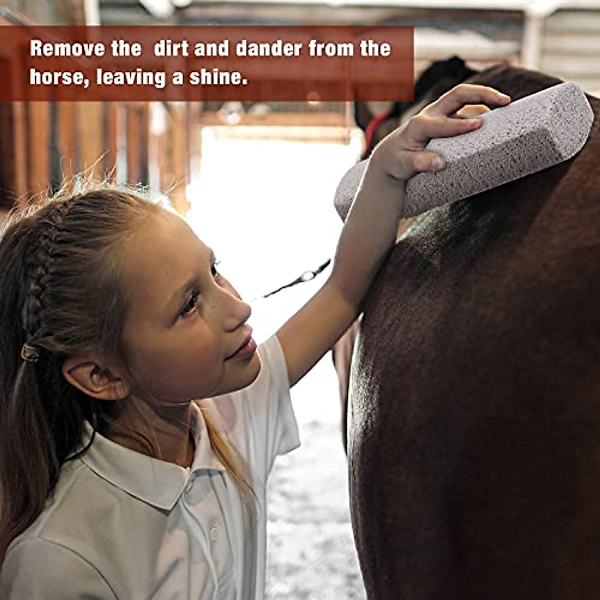 2 Pieces Pet Hair Remover for Cat Hair Removal Pumice Stone Tool Carpet Dog Fur Removal Tool for Car Couch Furniture Bedding Easy to Clean (5.3 Inches)