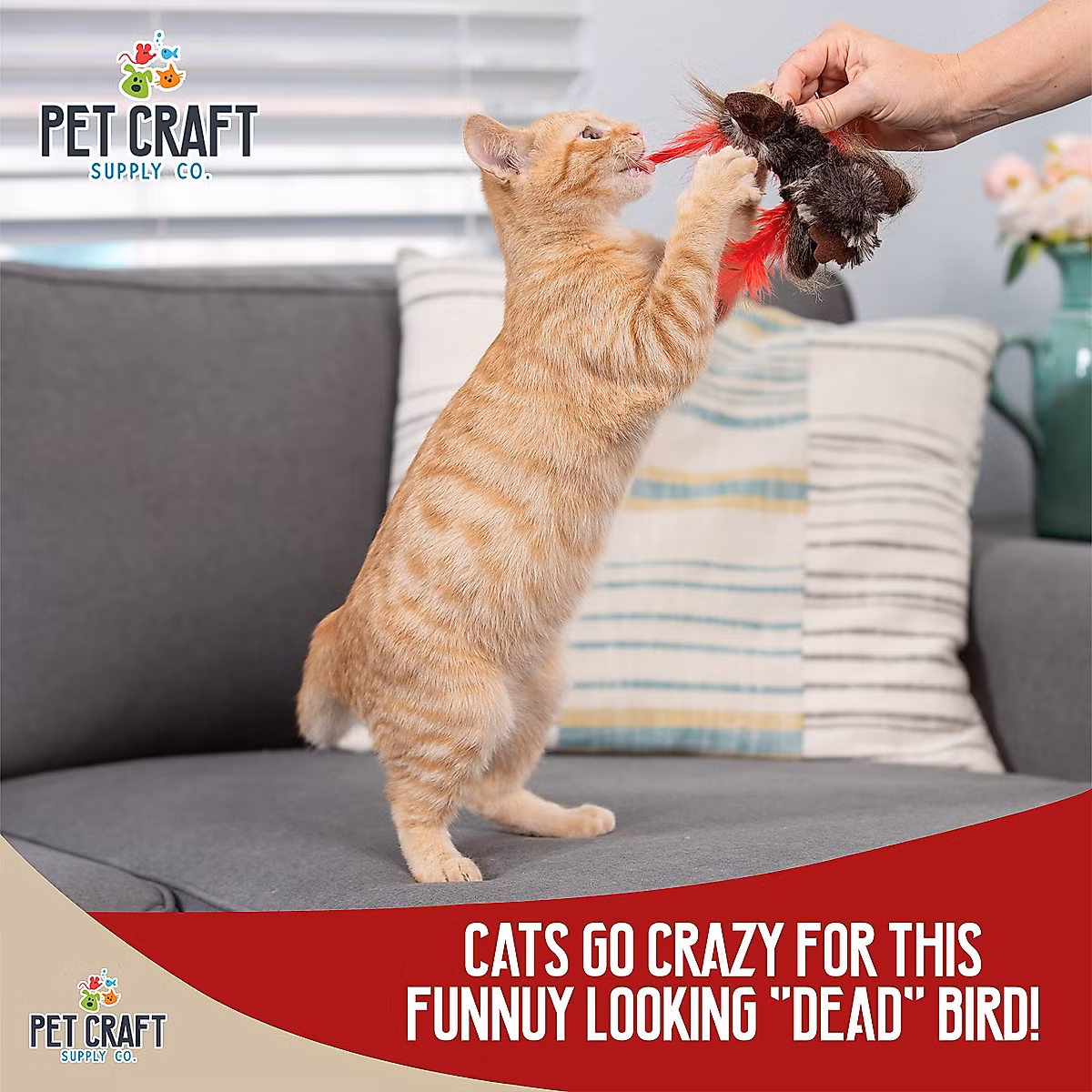 Pet Craft Supply Co. Kitty Condor Crazy Catnip Cuddler Funny Cuddling Chasing Hunting Irresistible Stimulating Soft Plush Boredom Relief Interactive Cat Toy with Realistic Feathers, All Breed Sizes