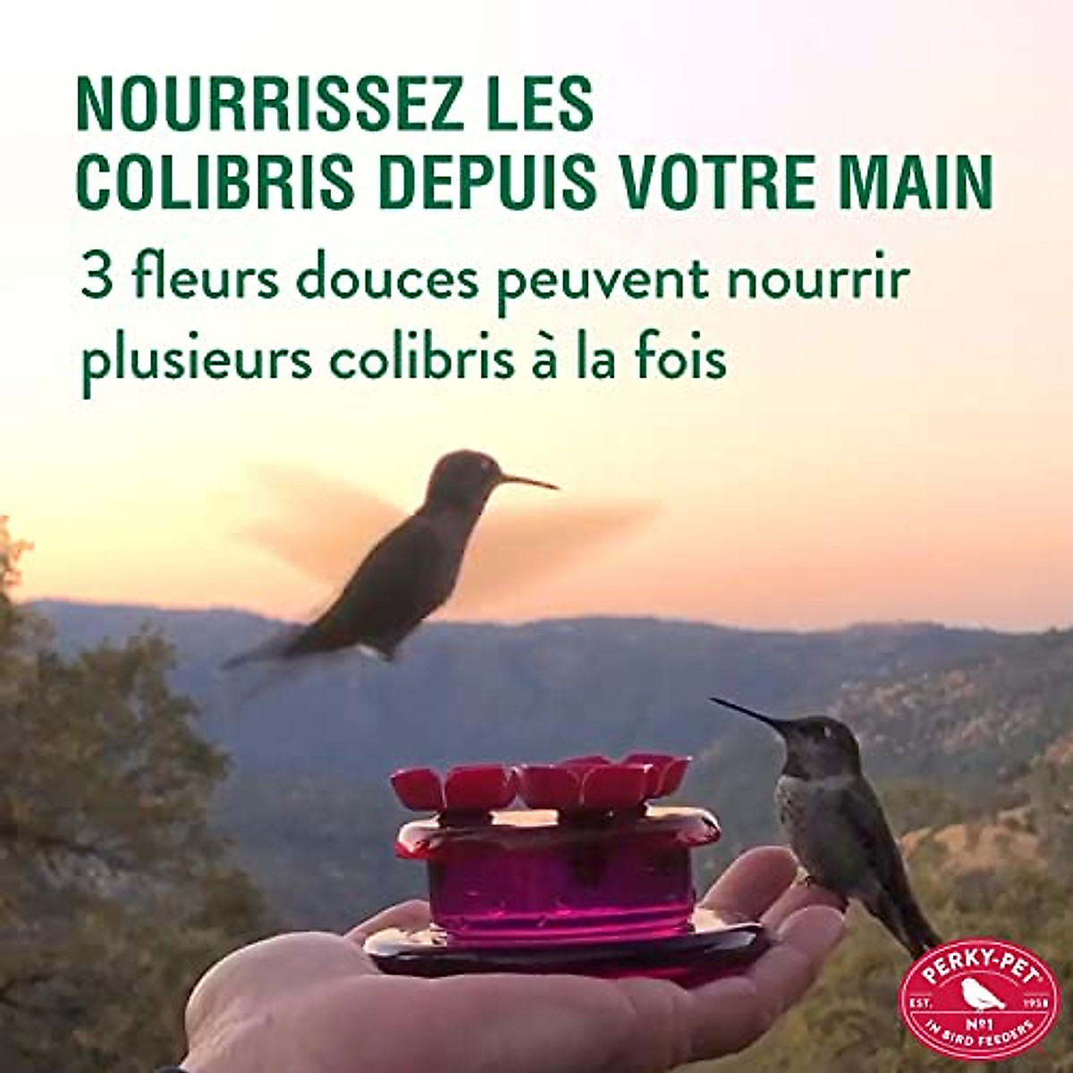 Perky-Pet 9100 Handheld & Tabletop Hummingbird Feeder