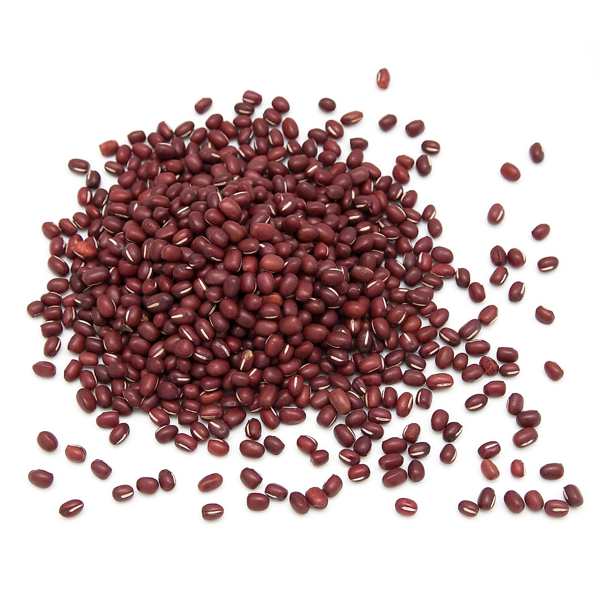Hunza Organic Adzuki Beans (2 lbs)