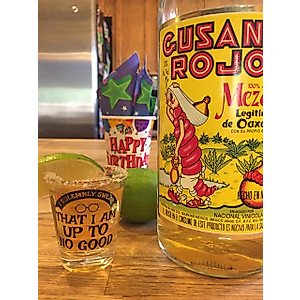 GO FROZEN Inspired by Harry Potter Shot Glass-I Solemnly Swear-Mischief Managed