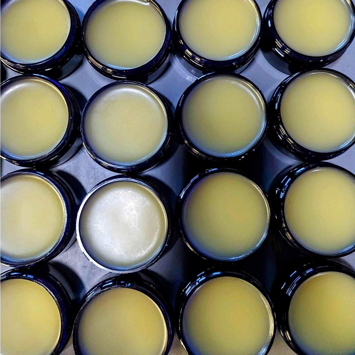 Bully Balm Dog Paw Snout Soother - Helps Heal Dry Cracked Nose and Paws - All Natural Healing Original Formula - Hyperkeratosis Ointment for Bulldog and Dogs