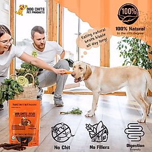 Dog Chits Turkey and Sweet Potato Soft Chew for Dogs - Dog and Puppy Chews | Made in USA | Organic Turkey | All-Natural Treats | Large & Small Dogs | Organic Sweet Potato | 4 oz.