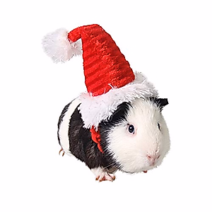 balacoo Guinea Pig Christmas Hat Hamster Christmas Hat Small Pet Christmas Costume Christmas Guinea Pig Santa Hat Christmas Pet Outfits for Rabbit Guinea Pig Chinchilla Cat Guinea Pig