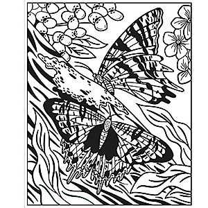 Magic Painting Butterflies (Magic Painting Books)