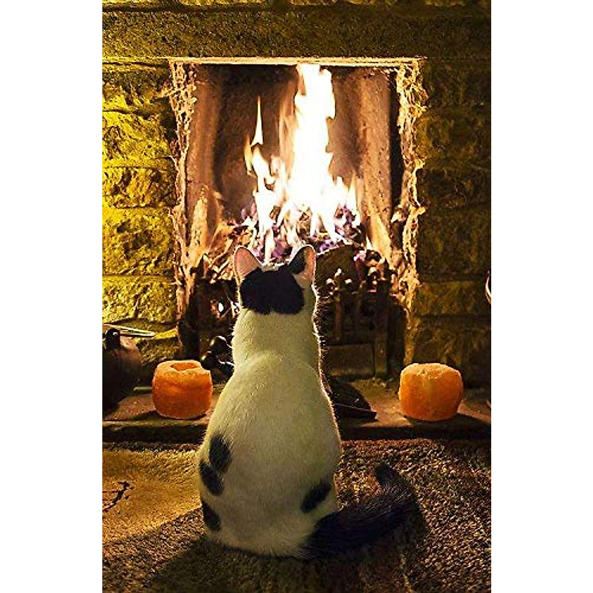 Hongso Fireplace Stove Blower Fan Variable Rheostat Speed On/Off Switch Ctrl with 2 Male Connectors, Fireplace Fan Speed Control