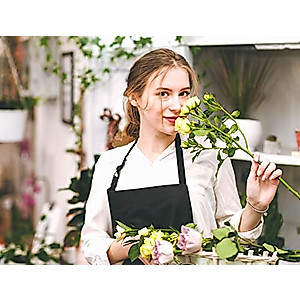 200+ Mixed Color Rose Seeds for Garden Planting 16 Varieties of Bush Perennial Shrub Heirloom 90% Germination Rate Open Pollinated Wonderful Gardening Gifts