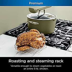 Ninja CW202GN Foodi NeverStick PossiblePot, Premium Set with 7-Quart Capacity Pot, Roasting Rack, Glass Lid & Integrated Spoon, Nonstick, Durable & Oven Safe to 500°F, Olive Green