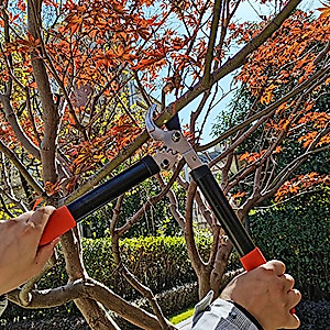 KLDOLLAR 15 Inch Tree Trimmer, Super Powerful Gear Loppers, Gardening Pruners, Lightweight Branch Cutter with 1.3 Inch Cutting Capacity, Sharp Precision Alloy Steel Blade