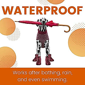 ZoGuard Plus Flea and Tick Prevention for Dogs (Small - 5-22 lb)