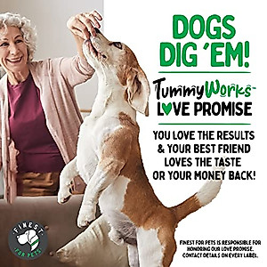 TummyWorks Probiotic Soft Chews for Dogs. Probiotics for Gut Flora, Digestive Health, Immune Support, Diarrhea, Itching & Seasonal Allergies. with Digestive Enzymes & Prebiotics. Made in USA 120ct