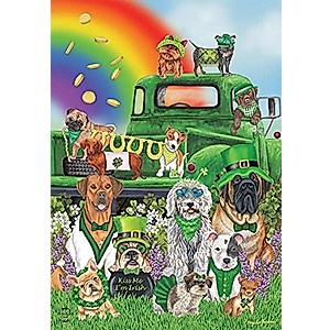 Lucky Pups St. Patrick's Day Garden Flag Dogs Humor 12.5" x 18" Briarwood Lane