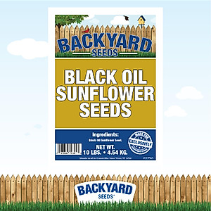CountryMax Backyard Seeds Black Oil Sunflower (10 Pounds)