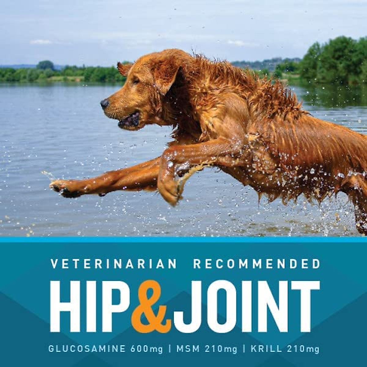VetIQ Hip & Joint Supplement for Dogs, Anti Inflammatory Joint Support, Glucosamine, MSM, and Krill, Chicken Flavored Soft Chews, 60 Count