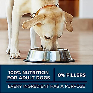 Purina ONE Plus Large Breed Adult Dog Food Dry Formula - 40 lb. Bag
