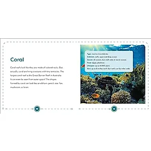 My First Book of Ocean Animals: All About Marine Wildlife for Kids