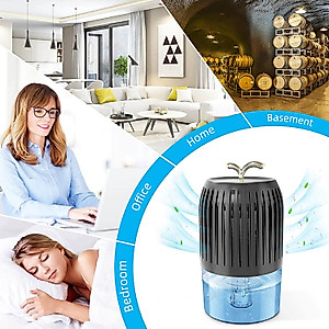 Donatello Small Dehumidifiers for Home, 35 OZ Ultra Quiet Dehumidifiers with 7 Color LED Light & Auto Shut Off, 280 sq.ft Mini Dehumidifiers for Bathroom Bedroom RV Closet Office Kitchen