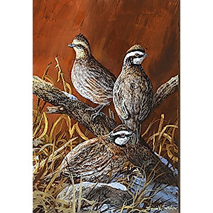 A Chill in the Morning