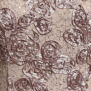 Alex Evenings Women's Long Rosette Lace Cap Sleeve Gown, Champagne, 14