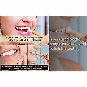 Billion Deals Natural Traditional Miswak (sewak) Peelu Chewing Stick Toothbrush for Whiter Teeth -15pc