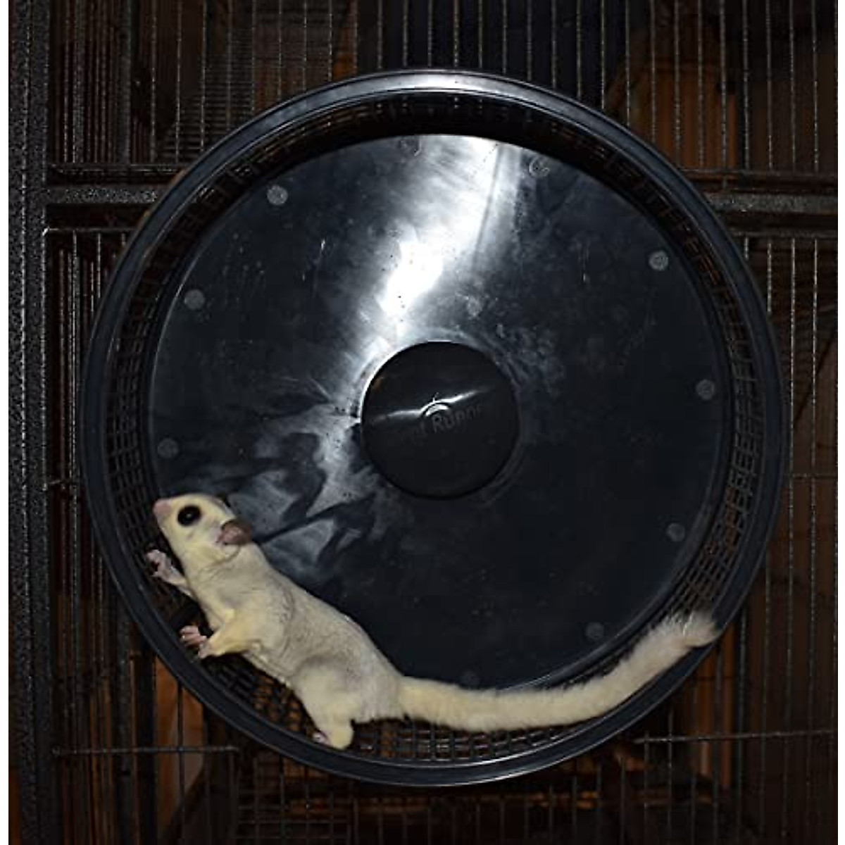 Silent Runner Pro Wheel (Black with Cage Attachment)