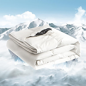 Royoliving Premium Lightweight Feathers Down Comforter Queen Size Summer Cooling Down Blanket Full Size White Duvet Insert, 100% Cotton Cover with Coner Tabs (90x90, 35 oz)