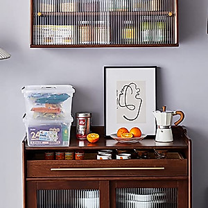 Fiazony 4-Pack 10 L Clear Latch Storage Box with Lid