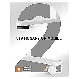 BANTI 55'' Standing Desk, Electric Stand up Height Adjustable Home Office Table, Sit Stand Desk with Splice Board, Maple