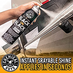 Chemical Guys AIR_SPRAY_1 Black On Black Instant Trim Shine Exterior Spray Dressing & Protectant, (Safe for Cars, Trucks, SUVs, RVs, & More) 11 fl oz