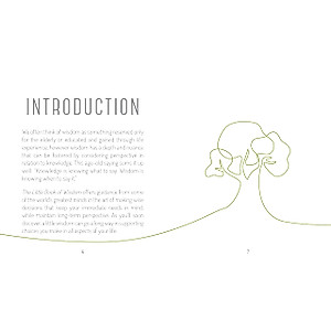 The Little Book of Wisdom: For when life gets a little tough (Little Books of Wellbeing)