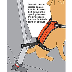 PetSafe Walk-Along Outdoor Dog Harness, No-Pull Solution, Water-Resistant, Zippered Pouch for Storage, Built-in Car Restraint, Medium