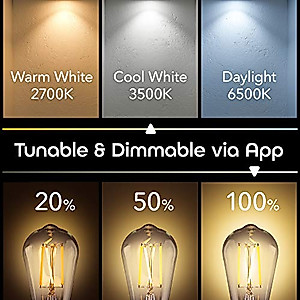 Geeni LUX Edison ST19 Edison WiFi LED Smart Bulb, 2700K - 6500K 8W, E26 Base, Dimmable, Tunable White Light, Compatible with Amazon Alexa & Google Home - No Hub Required- 2 Pack