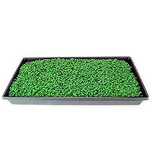 Chia Seeds - 4 Oz. Resealable Bag - Use for Indoor Gardening, Growing Microgreens & More - Micro Greens Salad Garden